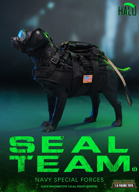 toyhaven: Mini Times Toys 1/6th scale SEAL Team Navy Special Forces ...