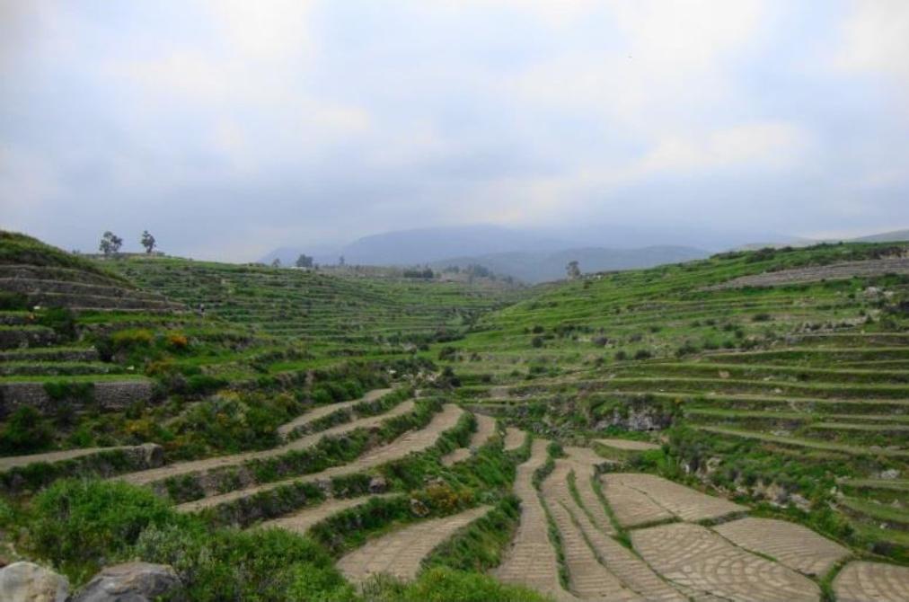 Chiguata Smart Business: Campiña y Andenería de Chiguata