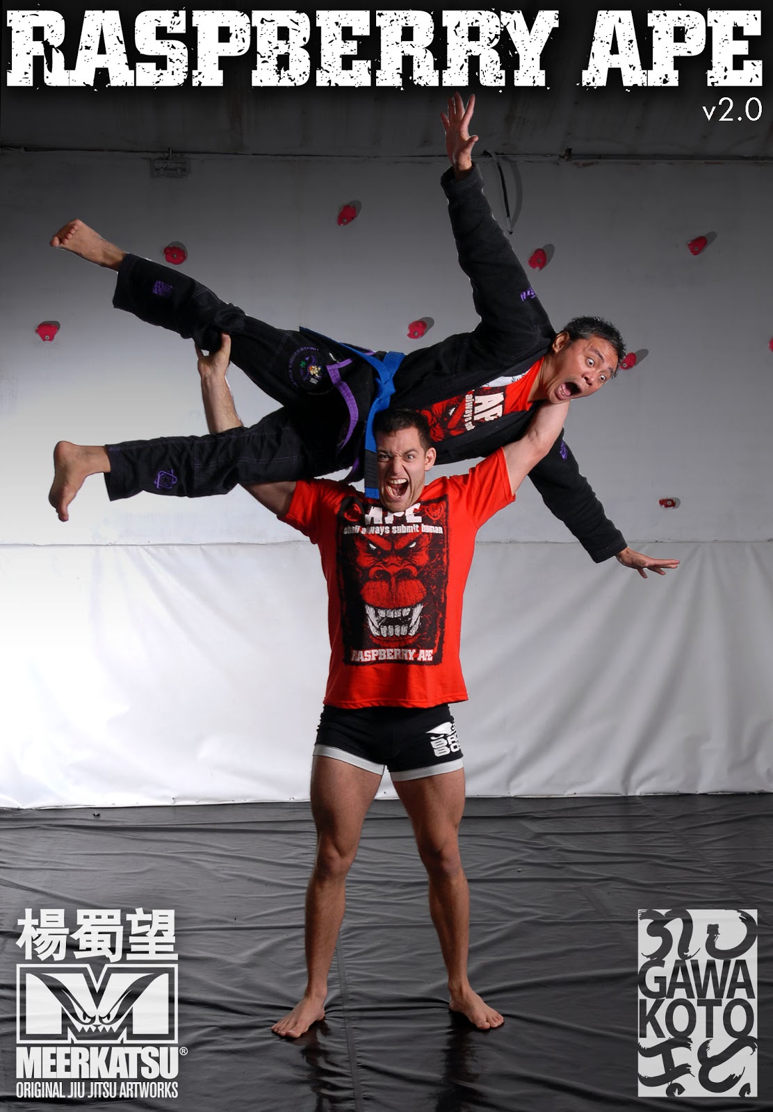 Meerkatsu Art: Raspberry Ape v2 ~ Meerkatsu's Blog