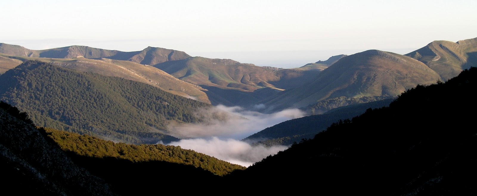 la cueva boreal: Selva de Irati