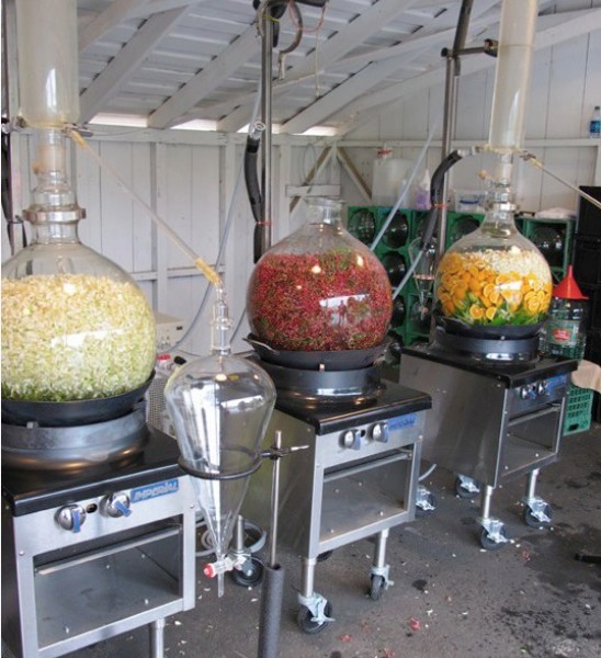 The Natural Perfumers Guild Fleur Awards - a surprise launch during ...