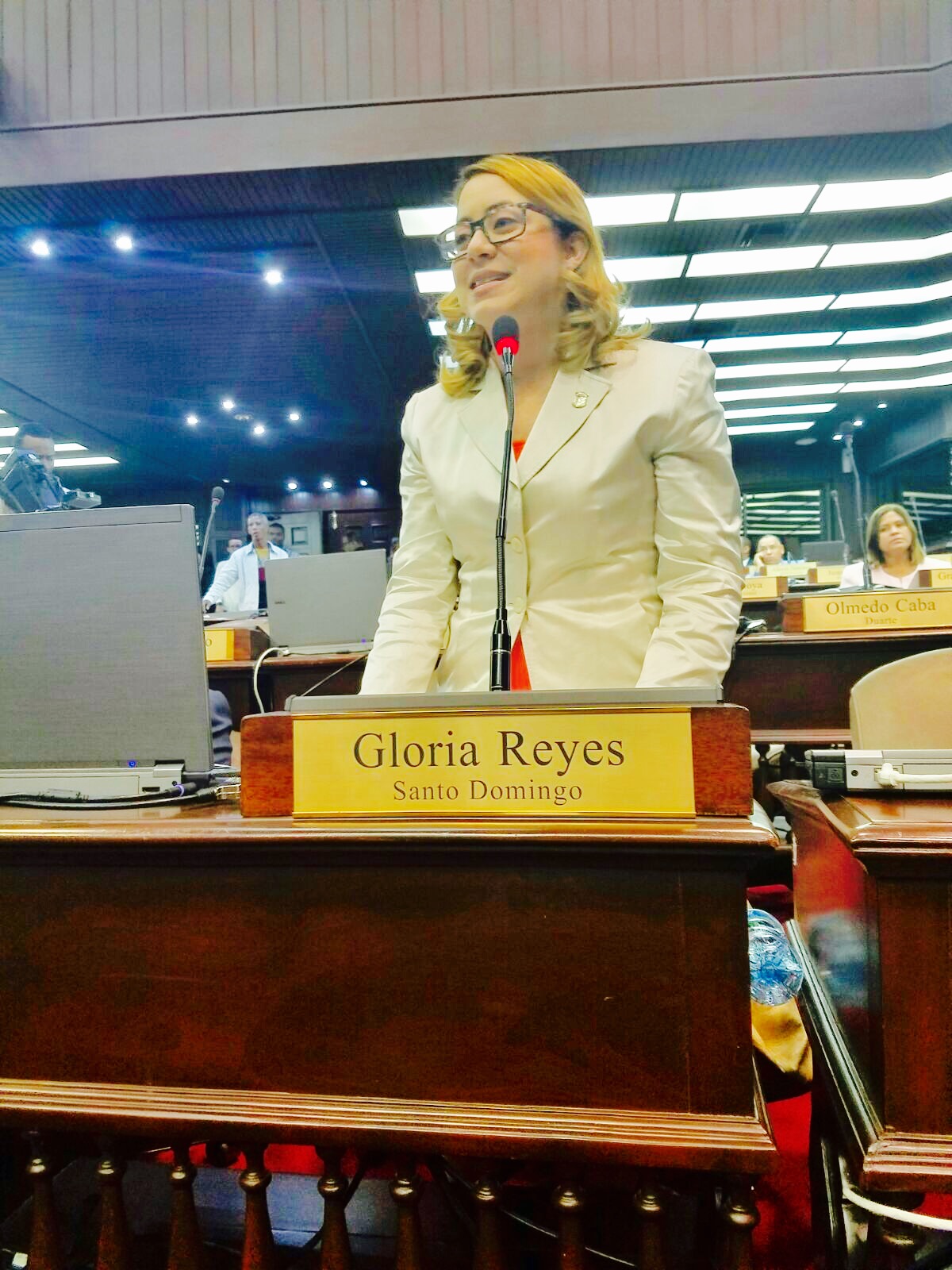 Diputada Gloria Reyes reflexiona acerca de la participación de la ...