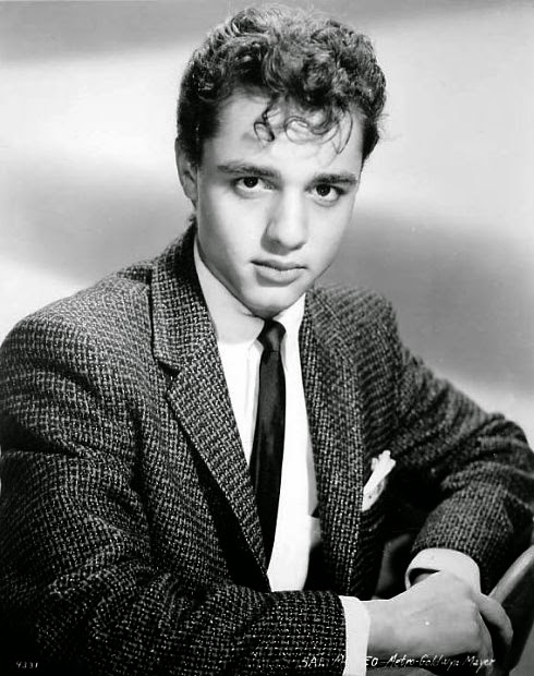 EL CAJON DE LOS CONOCIMIENTOS: SAL MINEO