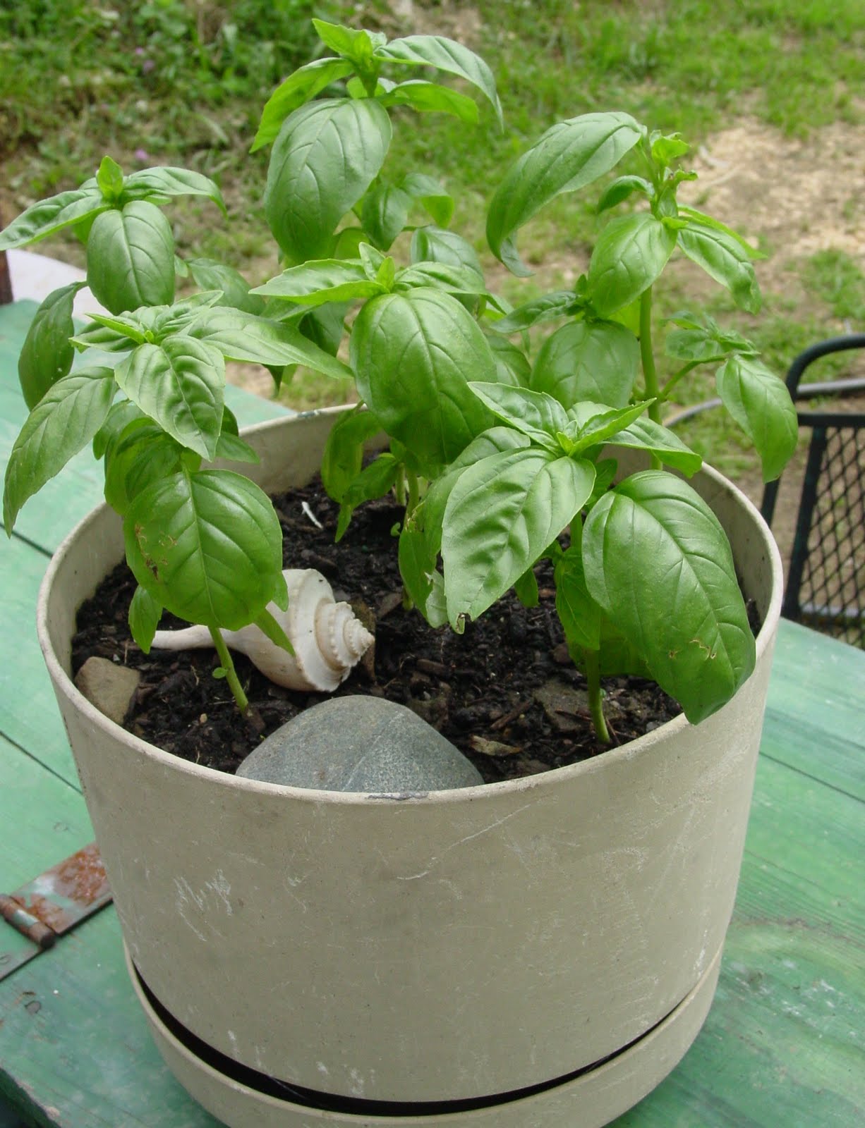 Bluestone River Farm