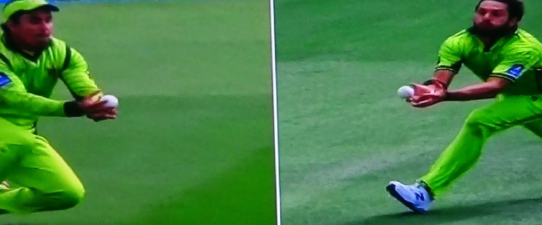 Who Will Win The Cup?: CWC 2015 LIVE - Pakistan Dropping A Lot Of Catches