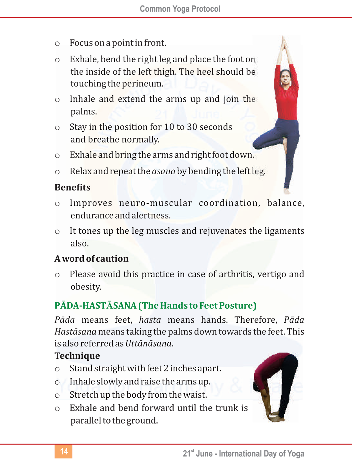 RMS 'TV' DIVISION: International day of Yoga - Common Yoga Protocol