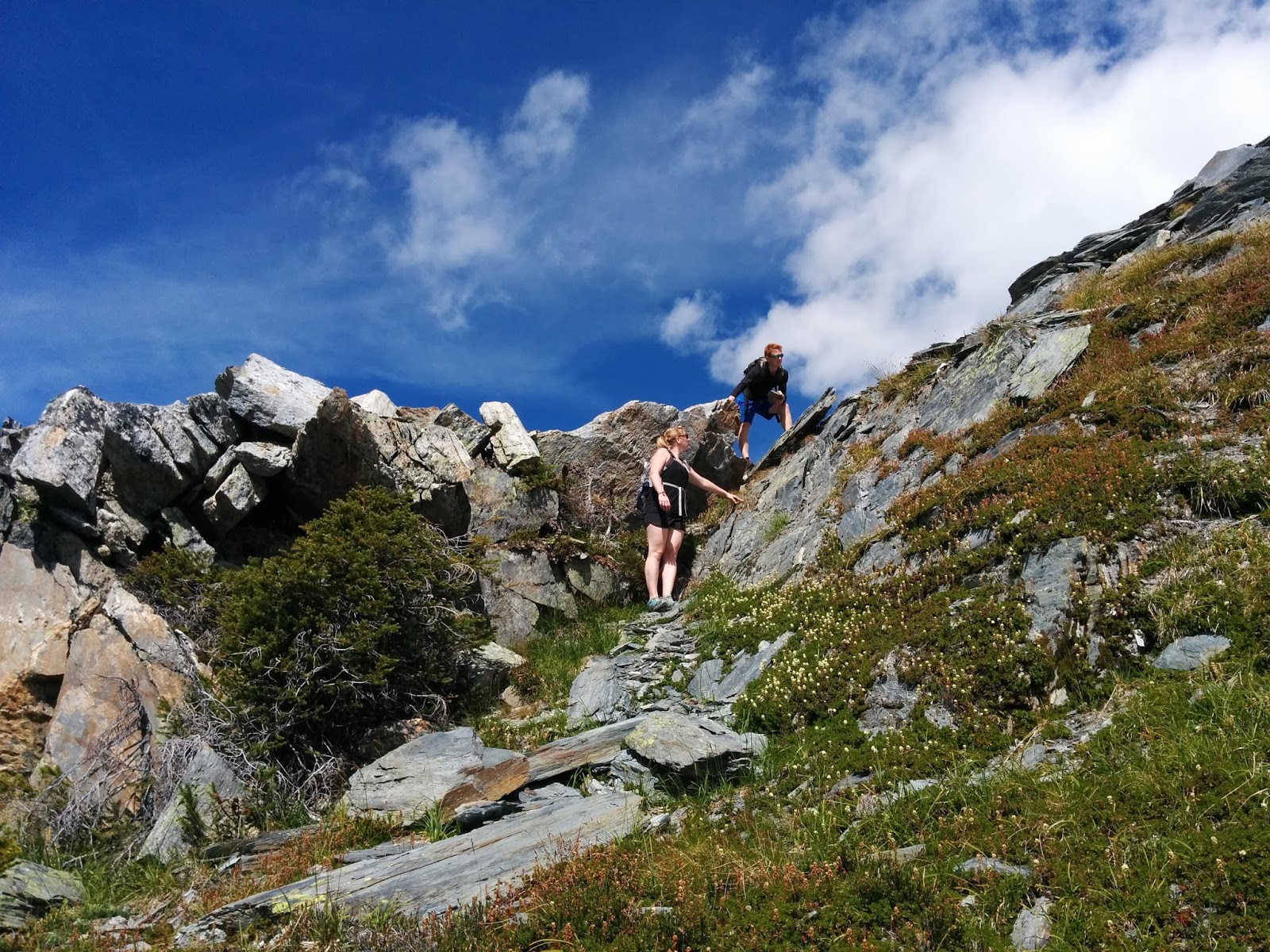 Jenny's Mountain Adventures: Mt Abbott Hike - Rogers Pass