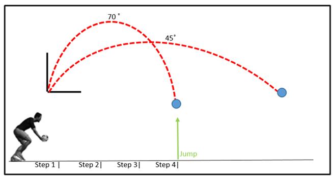 HLPE 3531 Biomechanics for Physical Educators