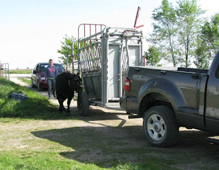 Antiquity Oaks: April 2012