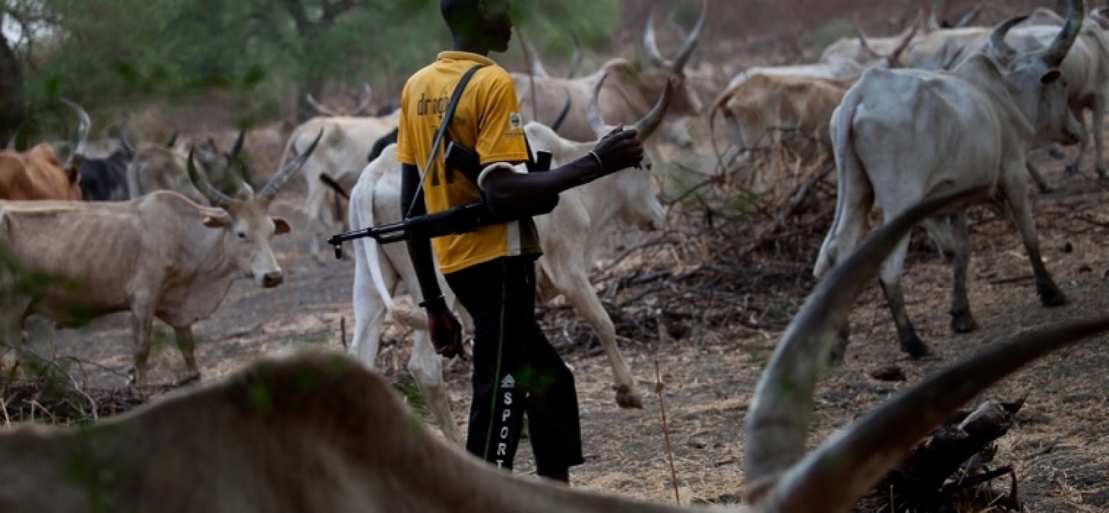 Fresh Fulani herdsmen attacks in Benue, 10 more people dead - Latest ...