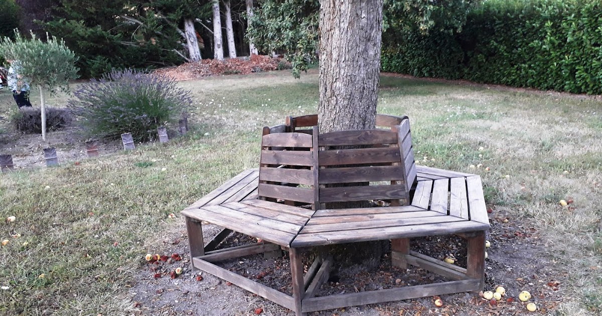 Loire Valley Experiences: Fecking Isaac Newton