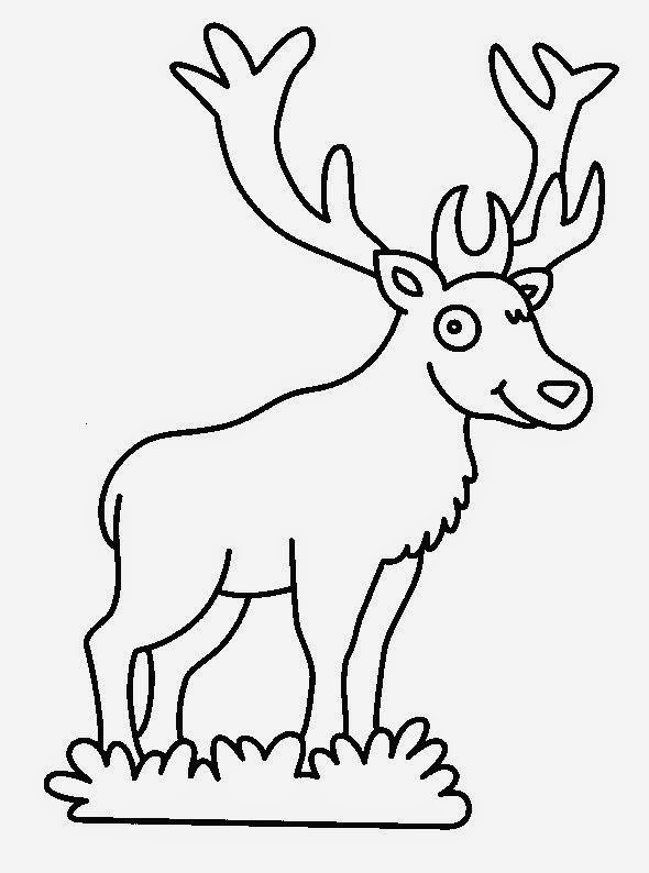 Desenhos de Alce para Colorir - Desenhos para Colorir e Imprimir
