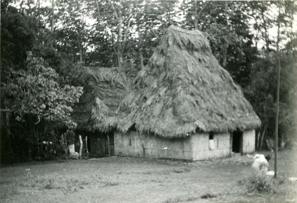 43 Rare Snapshots Document Everyday Life of Panama in the Early 1940s ...