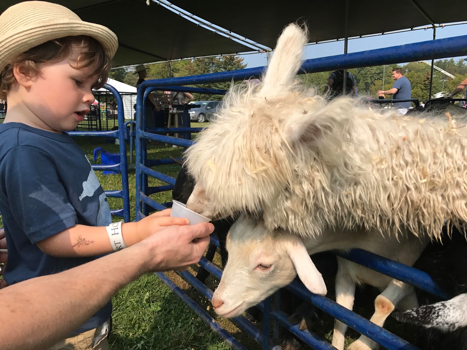 Family Fun at the Port Hope Fall Fair
