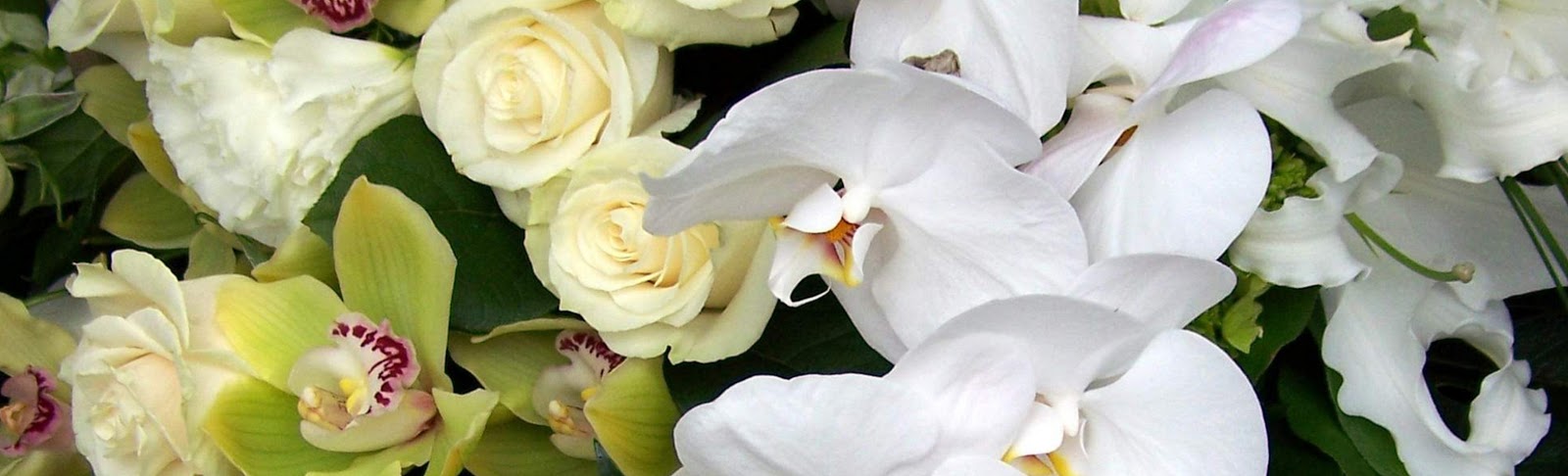 David Jeffrey Florist Reviews: The flowers were absolutely magnificent!!!