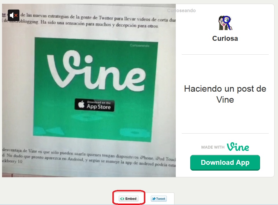 Qué es Vine y cómo usarlo para tu estrategia de marketing ~ Curioseando