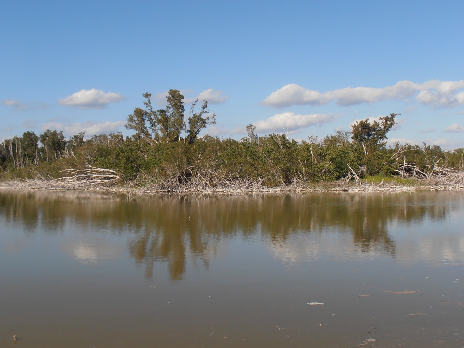 American Travel Journal: Eco Pond - Everglades National Park