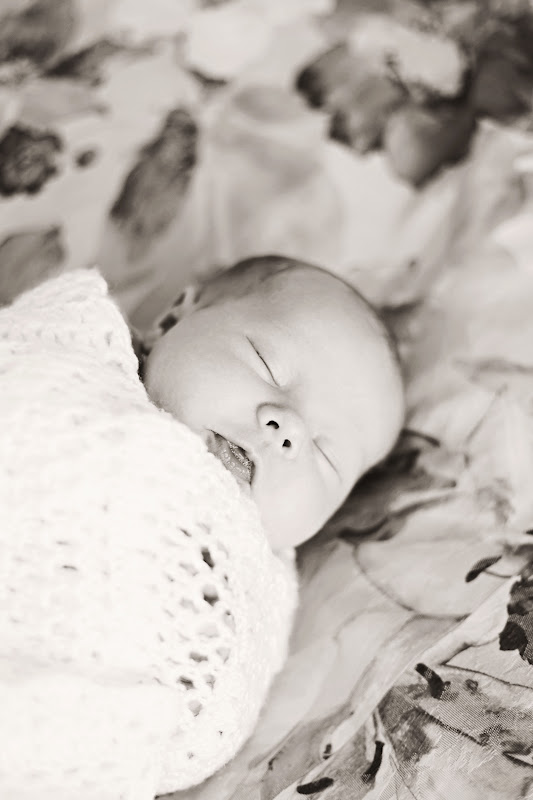 our daily obsessions: :: Photography - WPPI and a newborn
