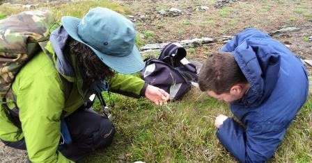 BSBI News & Views: John Poland at the AEM!