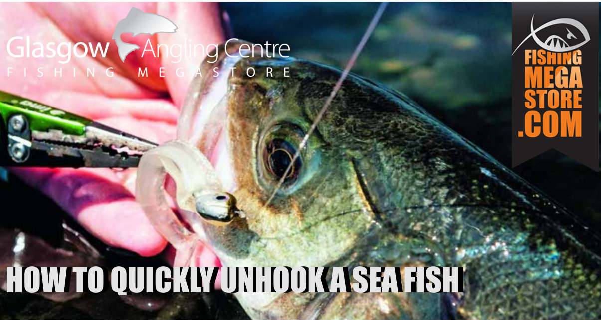 How to Quickly Unhook a Sea Fish