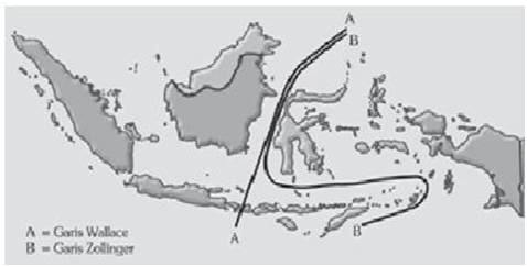 Persebaran Flora dan Fauna di INDONESIA (Kel 3) ~ XII Science 3