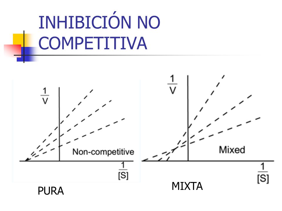 The world of science: Enzimas