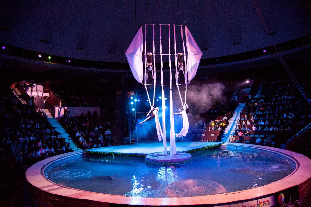 BluBird Entertainment : SPLASH! - THE WATER CIRCUS - Direct from Russia ...