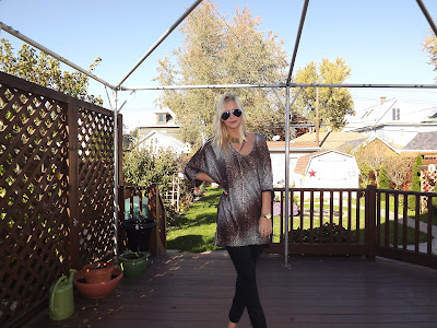 stella meow: glamour shots by Deb!