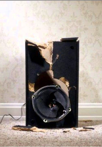 Signs your speakers are showing wear ? | Audiokarma Home Audio Stereo ...