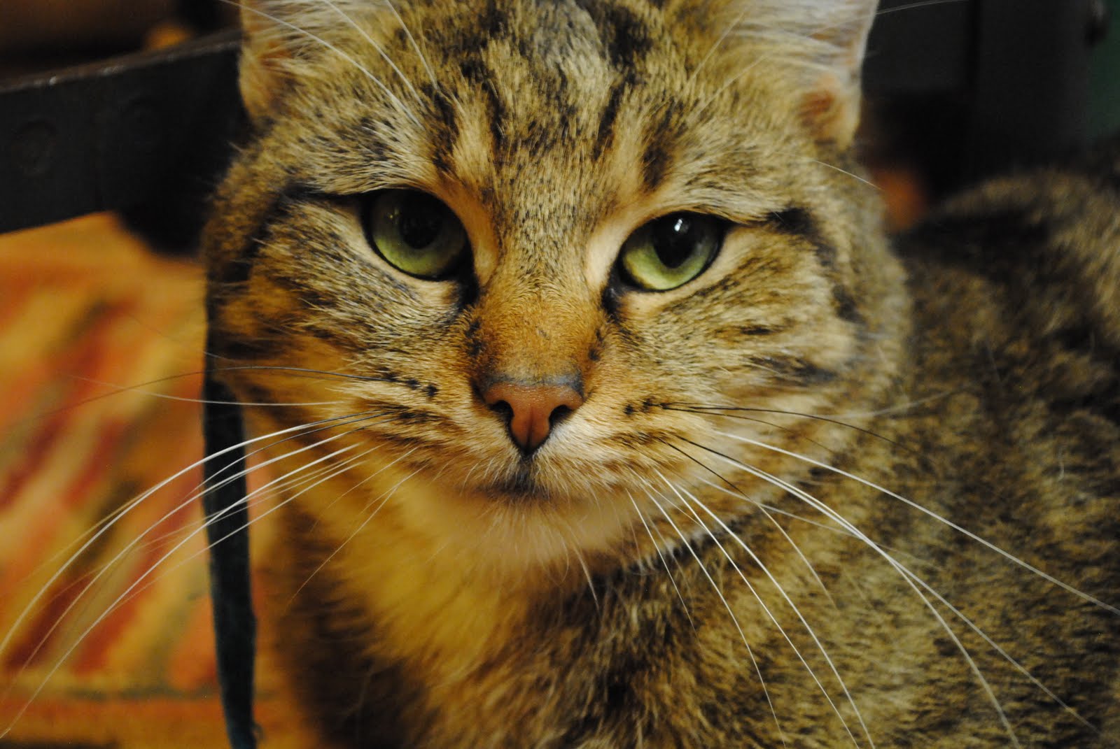 Time Flies When You Are Having Fun