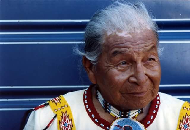 White Wolf : Fascinating Facts And Pictures About Chief David Bald ...