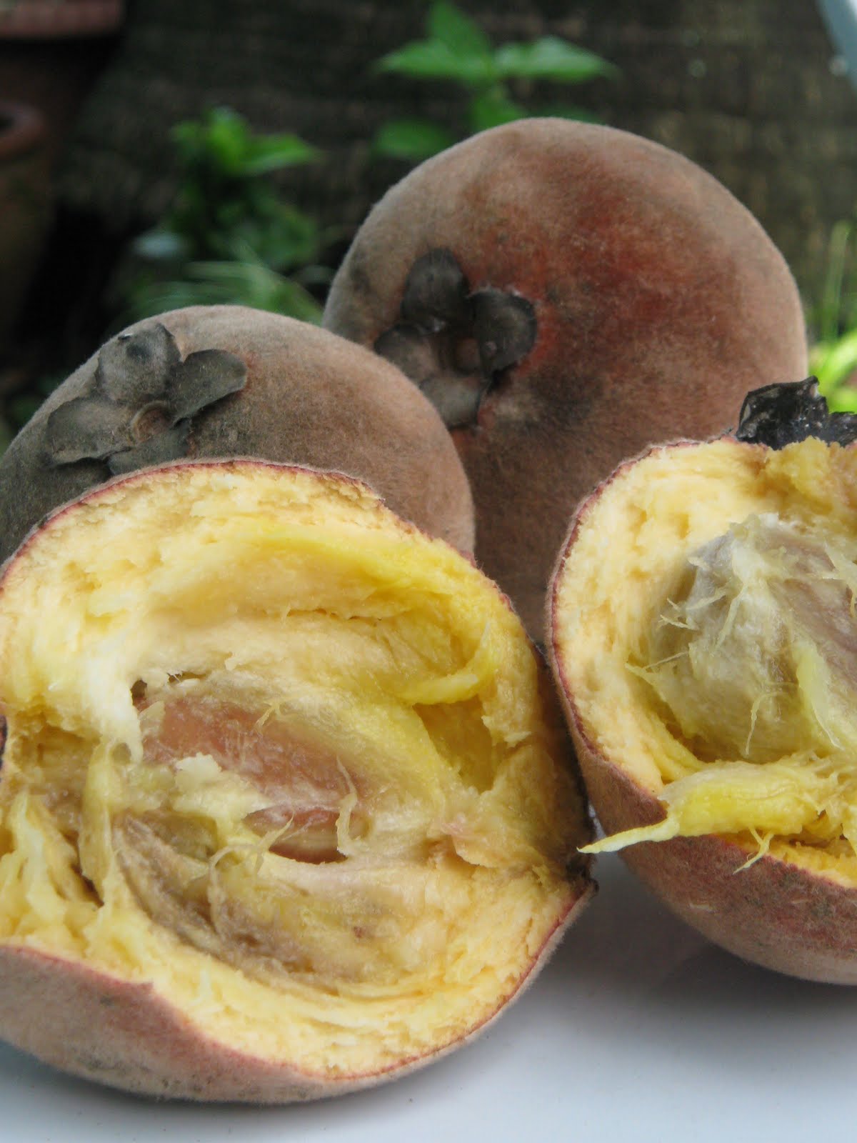 Chesa Fruit