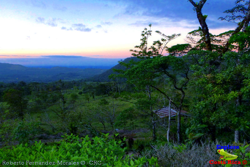 -Heliconias Lodge and Rainforest- Bijagua de Upala, Alajuela | Explore ...