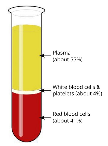 Lecture Notes in Medical Technology: Lecture #1: Introduction to Hematology