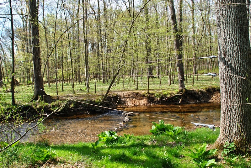 Southeastern PA Hiking: Chester County