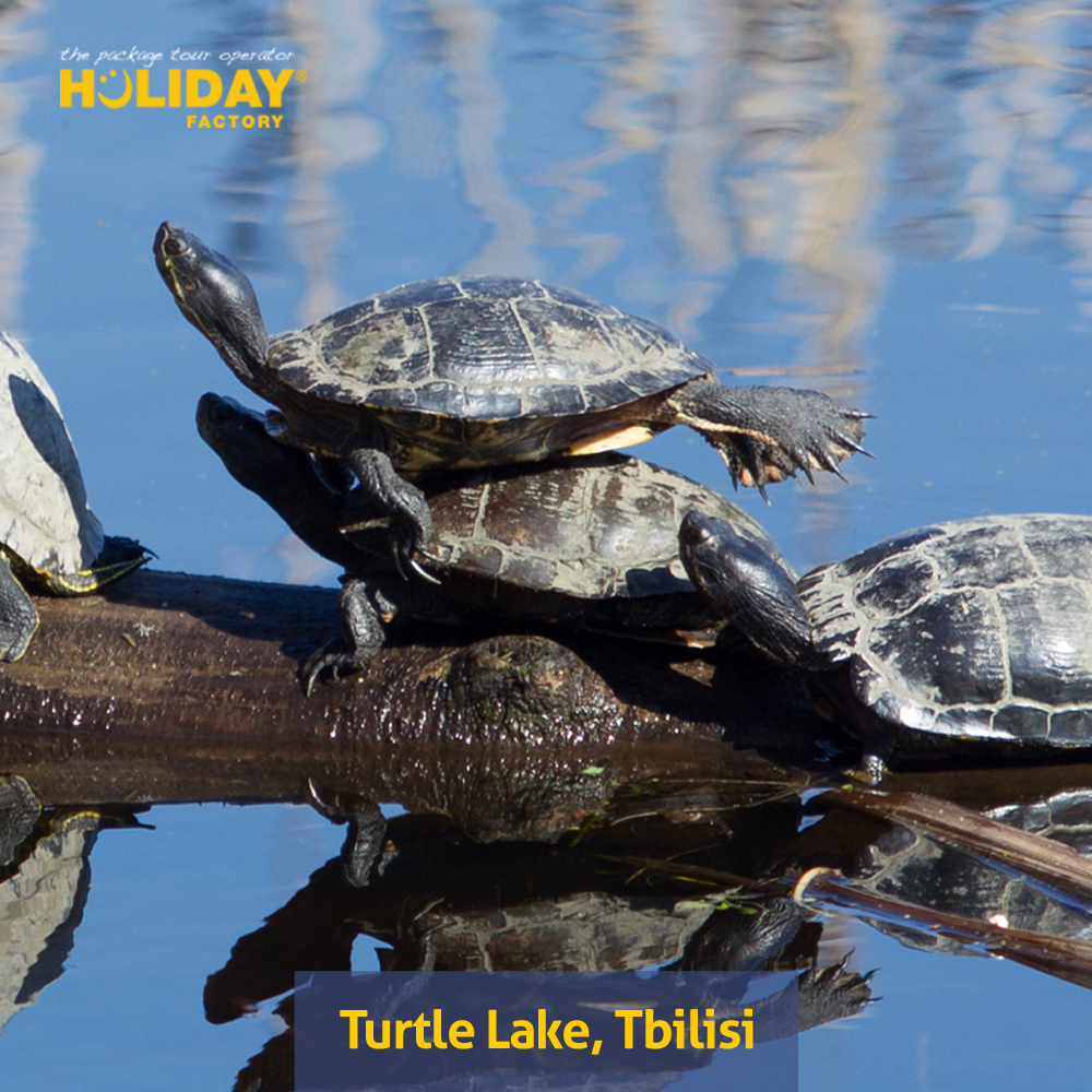 Holiday Factory: Turtle Lake Tbilisi Georgia