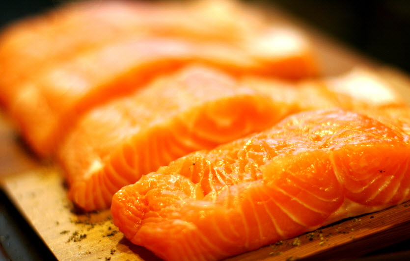 Animal You: Salmon