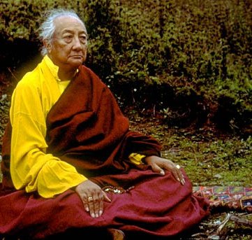 A Inteligência do Lótus: O Estado de Buda - Dilgo Khyentse Rinpoche