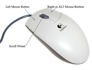 Information Technology: Keyboarding and Mouse