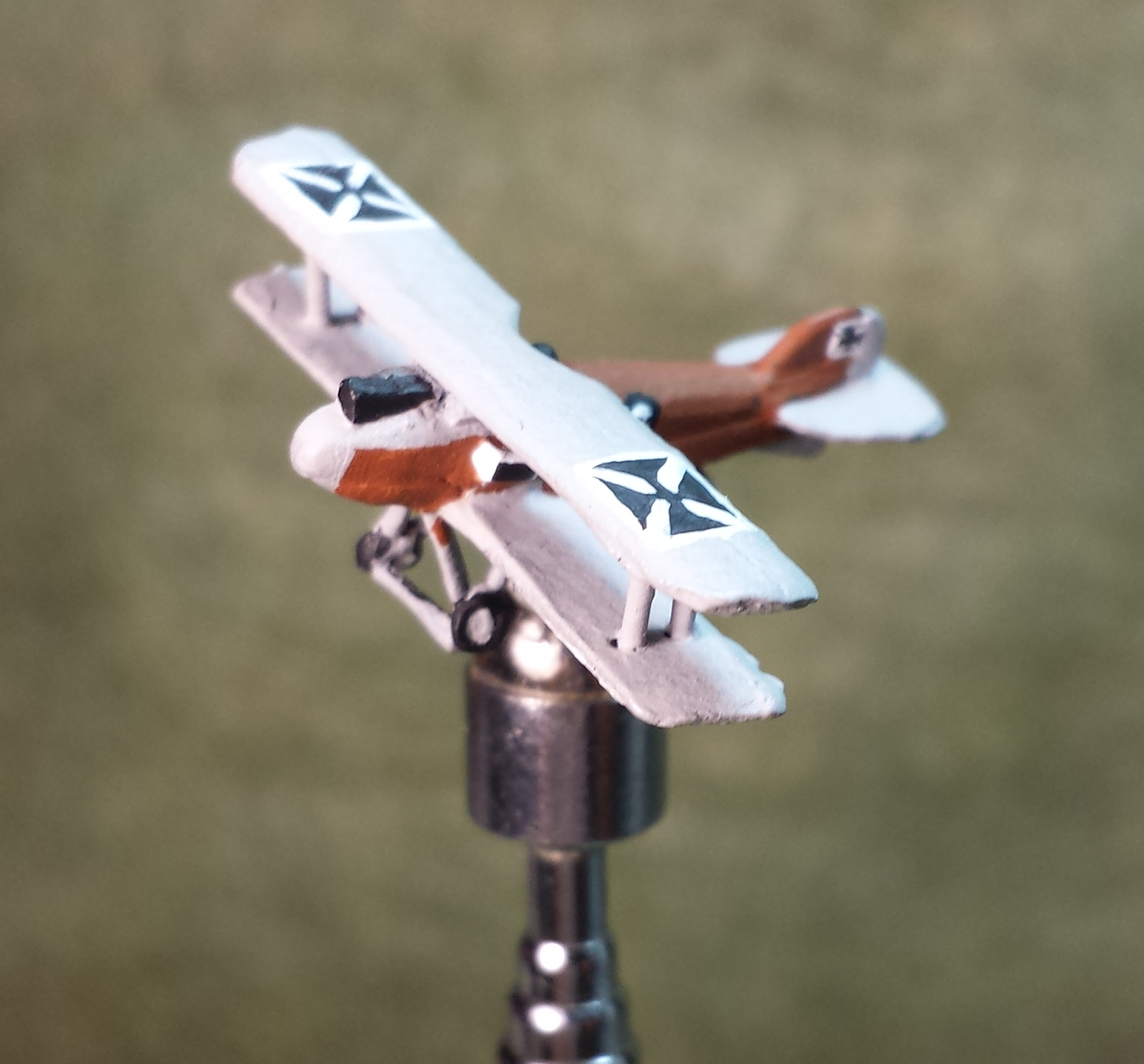 German Early War "Ace" Albatross DII - Jade Gaming News