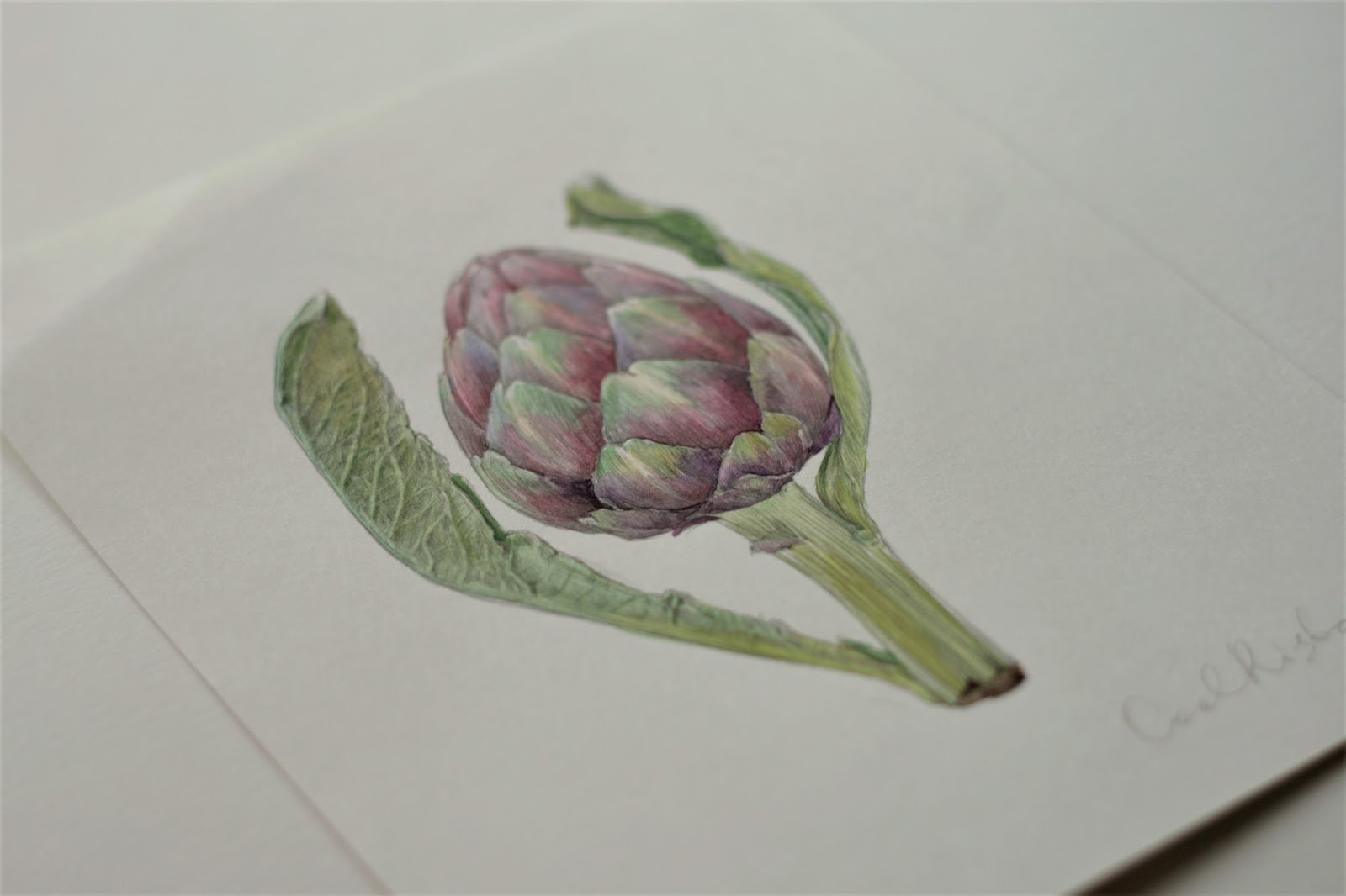 COOLRISTA: 100 Days of Drawing N-Day23 COOLRISTA: 100 Days of Drawing N-Day23