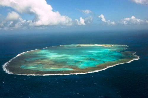 Daniel Almeida: O Atol das Rocas