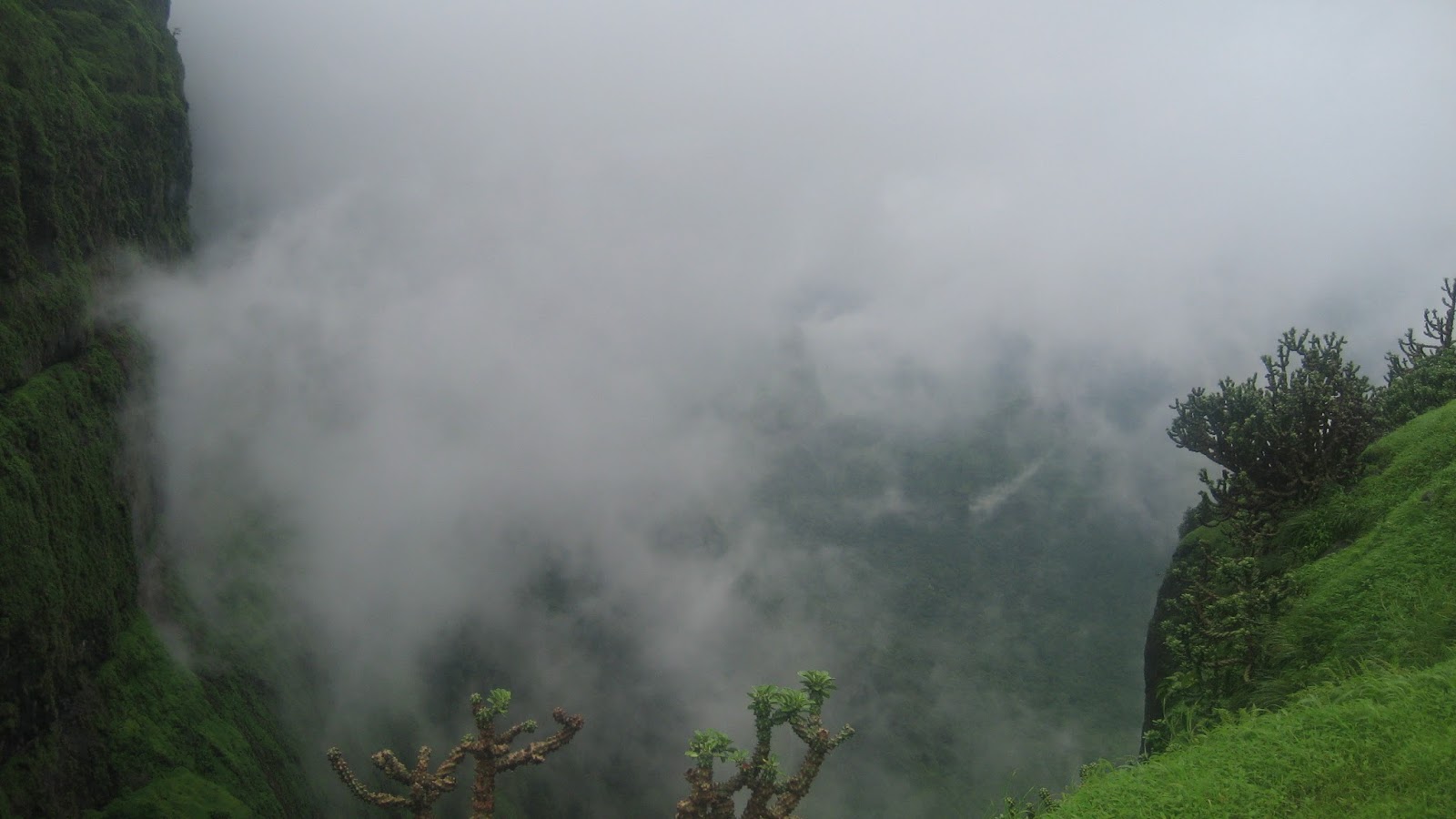 On the Edge of Sahyadris: Ahupe Ghat: A memorable walk through heaven