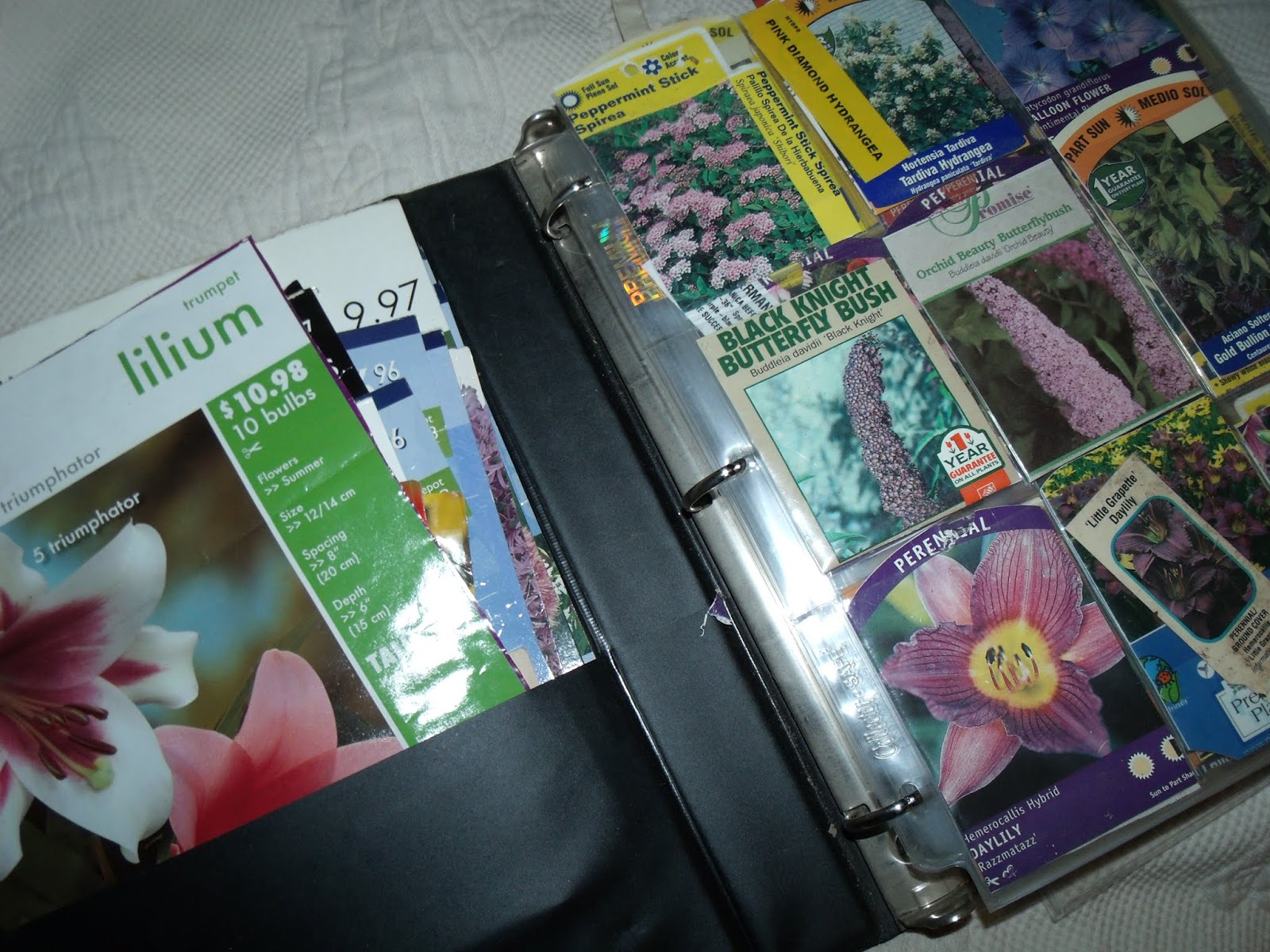 Gear Acres at Top of the Hill: How to Keep Track of Your Plants and Trees