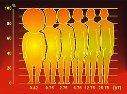Life's Many Phases: Height increase-Is it even possible at ANY age?