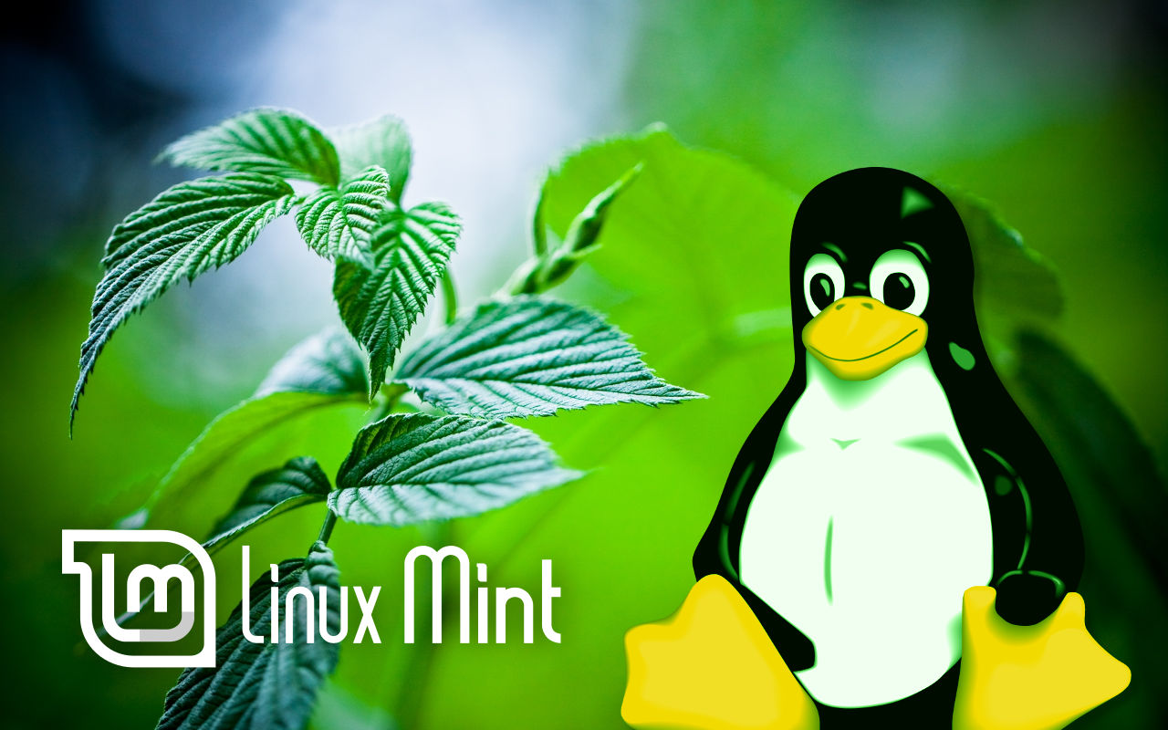 Ya disponible Linux Mint 18.1 'Serena' | La Cueva de Android