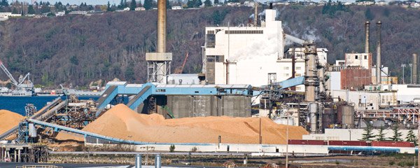 MEC&F Expert Engineers : Father of worker Jody Gooch who was killed in ...