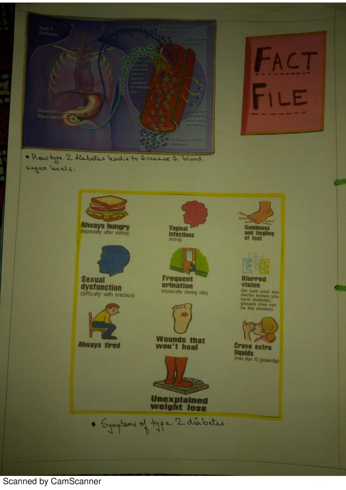 Class 12 SCIENCE Practical Readings and Projects: ISC Biology Project ...