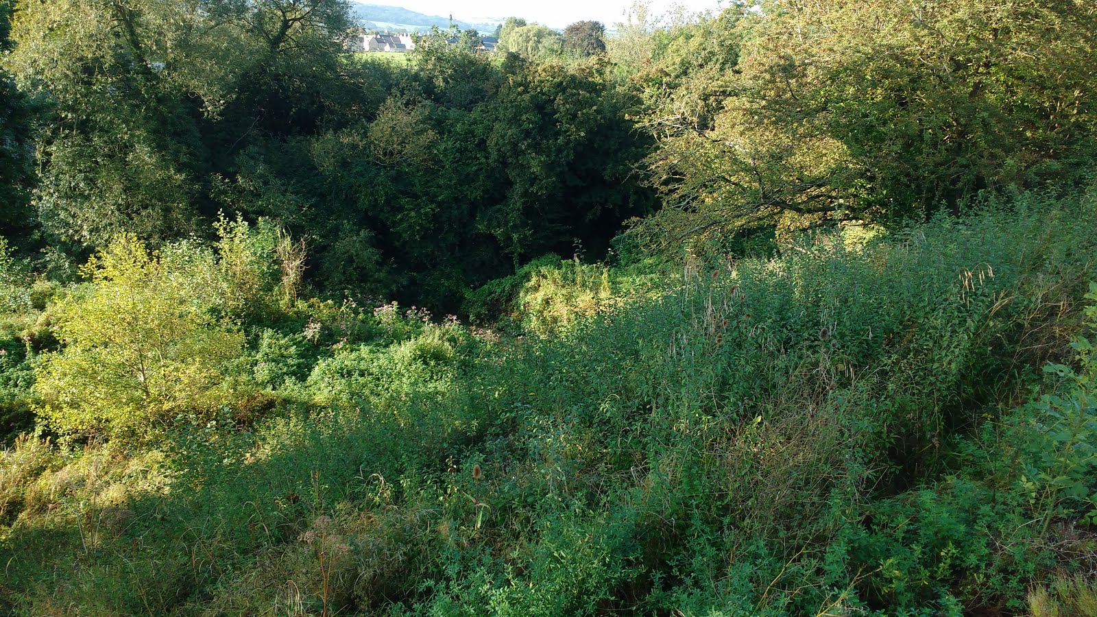 GWSR Estates Management — Drainage: Where's the River Isbourne