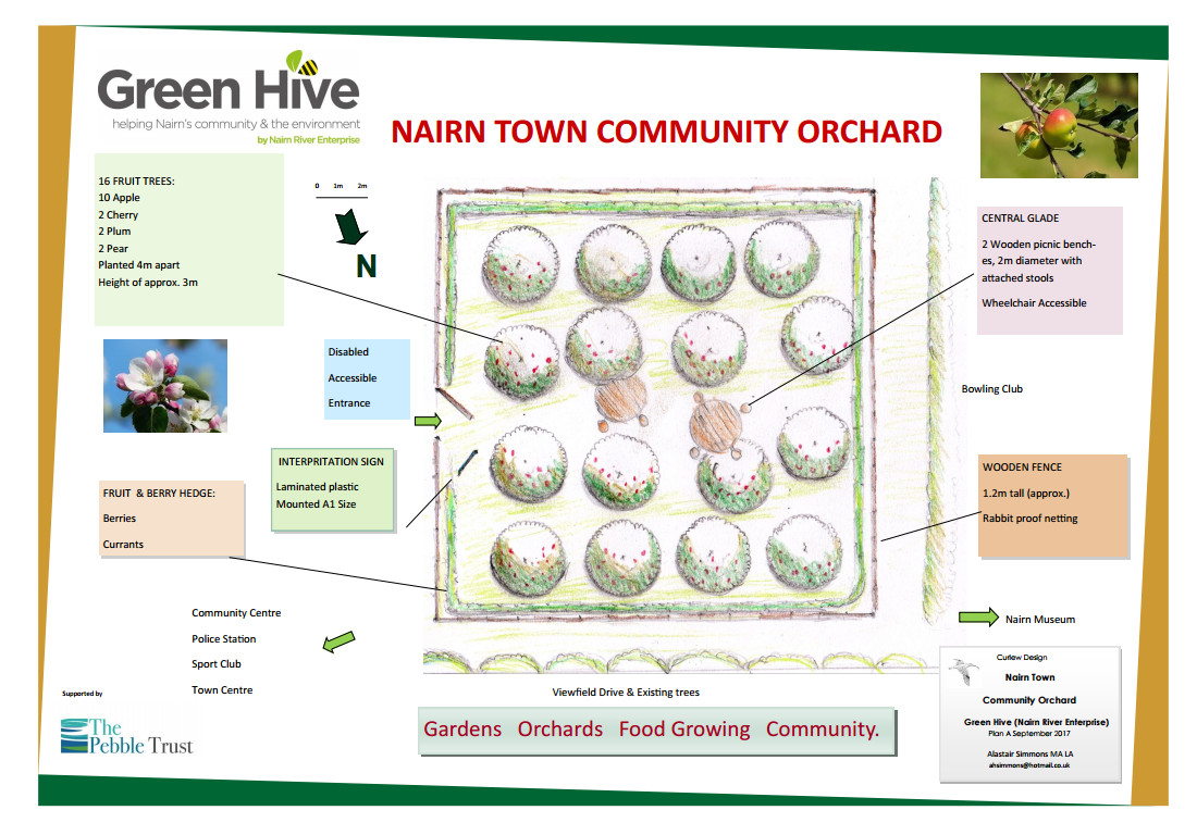 A Gurn from Nurn: Green Hive community orchard plan for Viewfield